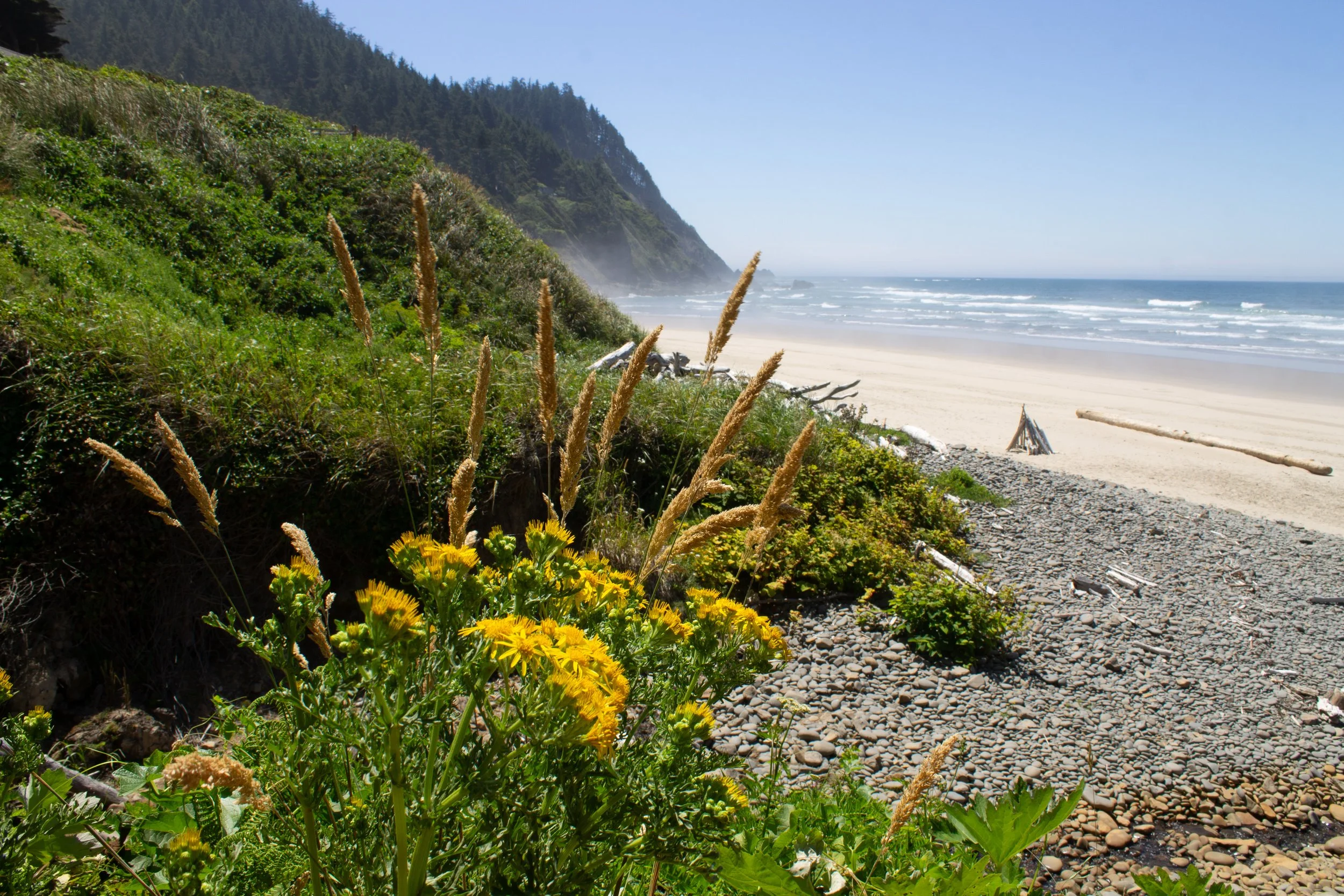 10 Stunning Secret Beaches on the Oregon Coast — Pines and Vines