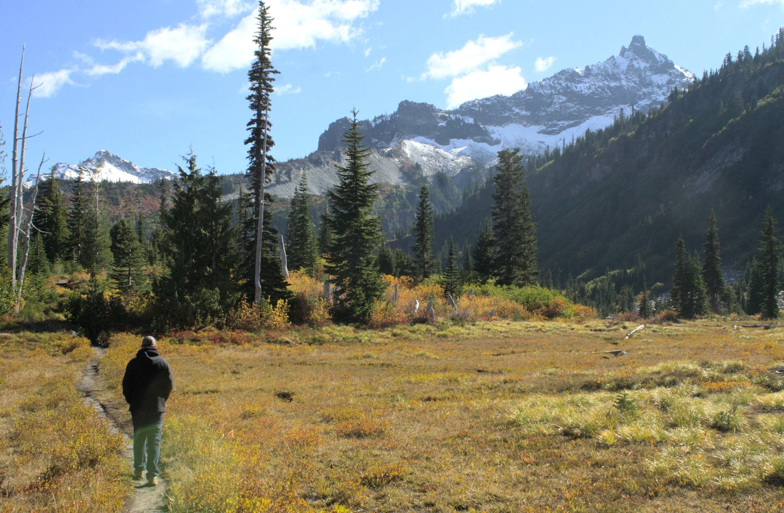 Hike to Bench Lake and Snow Lake in Mt Rainier National Park — Pines ...