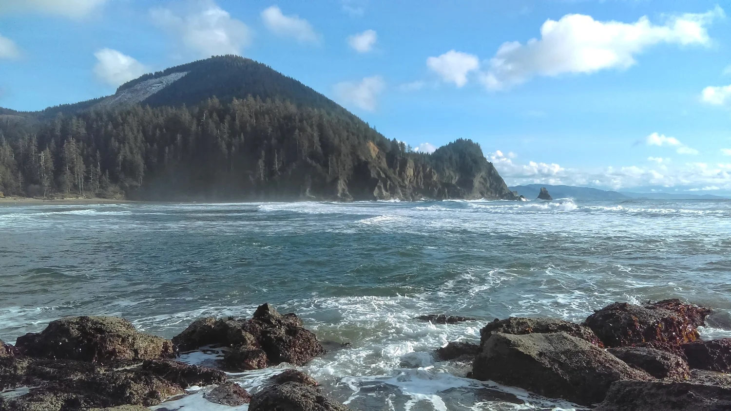 20 Best Oregon Coast Beaches to See Tidepools — Pines and Vines