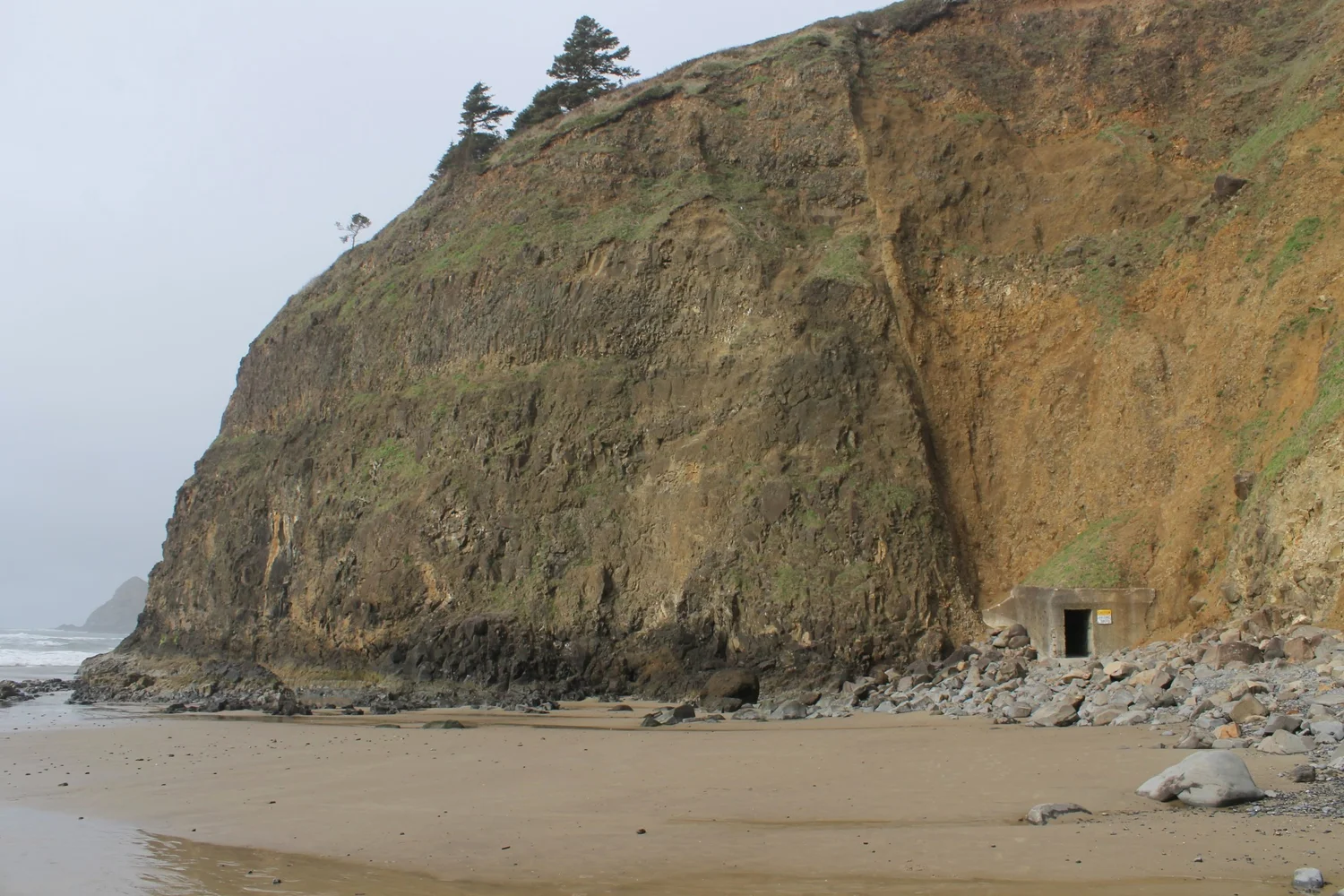 The Mysterious Oregon Coast Tunnel — Pines and Vines