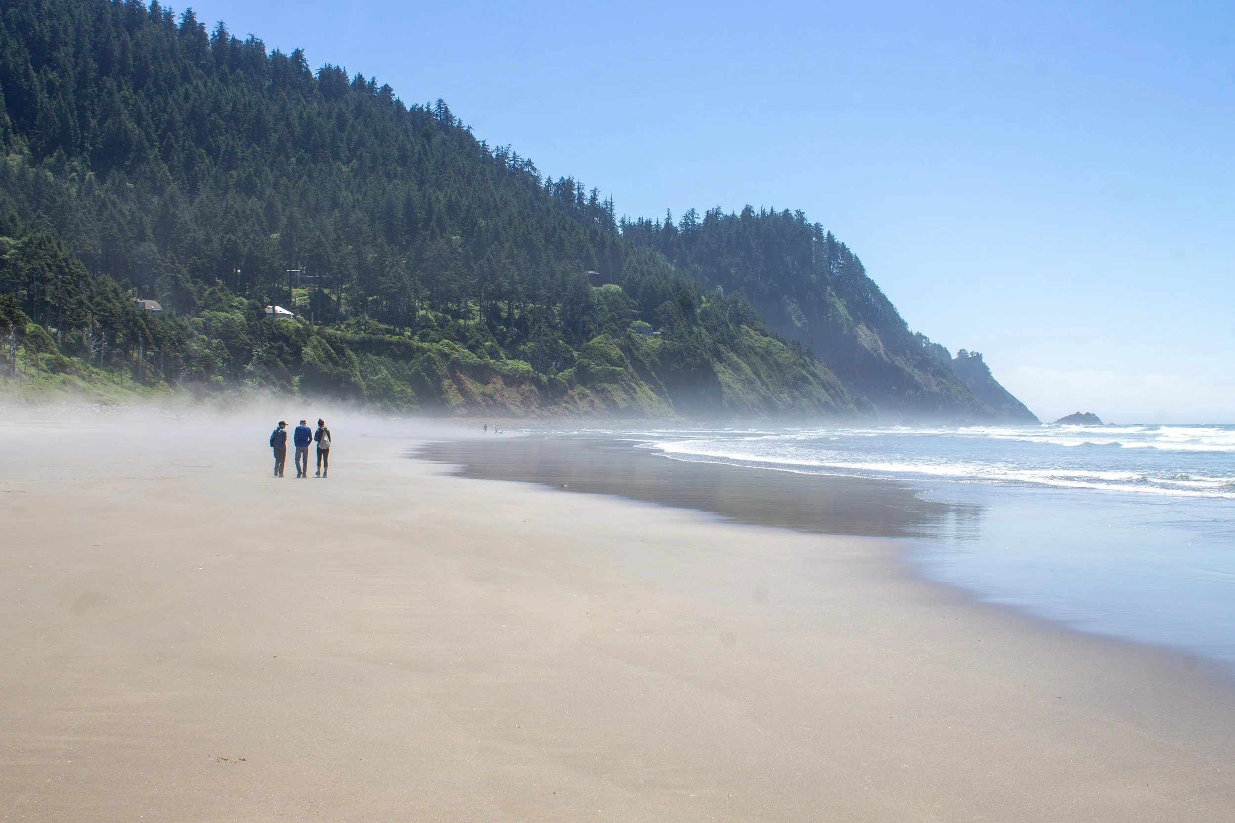 How to Find Cove Beach, a Secret Beach near Manzanita, OR — Pines and Vines