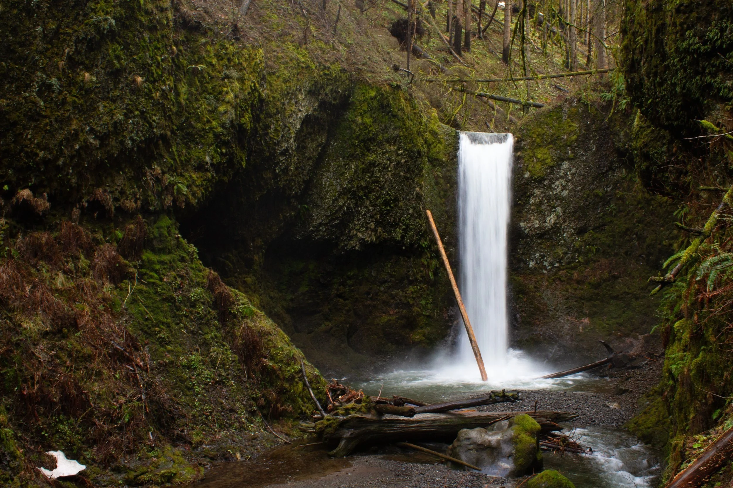 20 Best Waterfall Hikes Near Portland — Pines and Vines