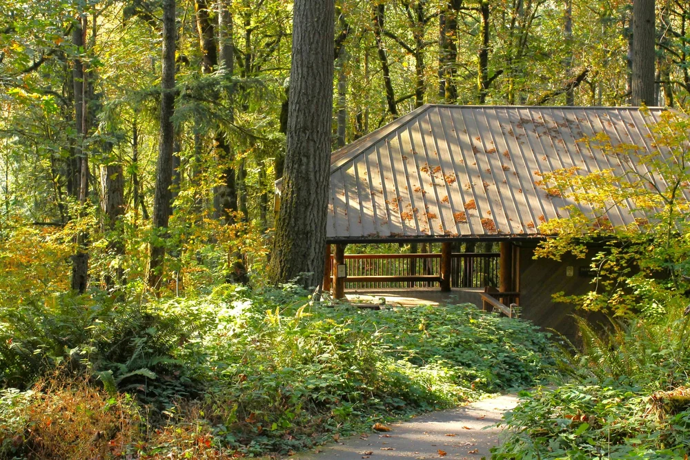 12 Beautiful Parks for Hiking in Portland — Pines and Vines — Pines and ...