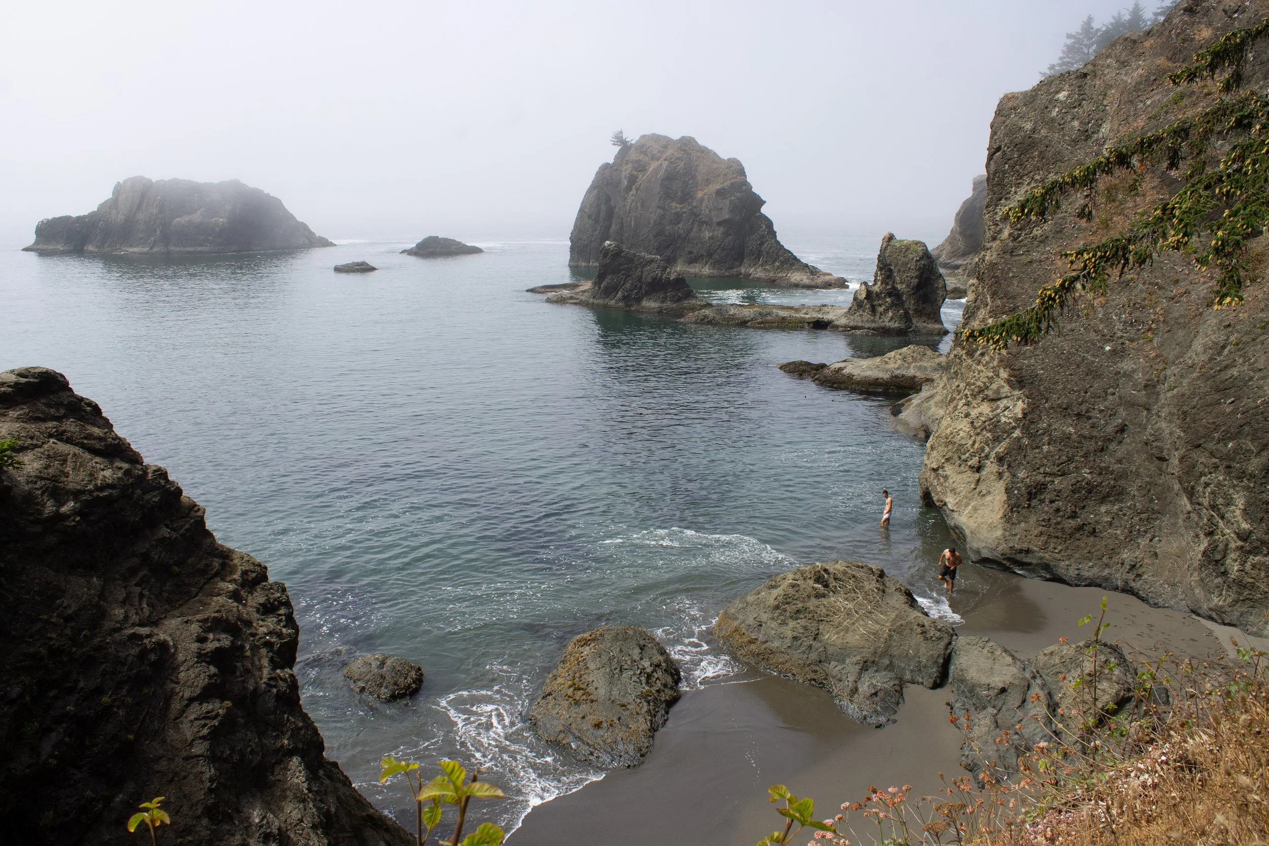 Detailed directions to Secret Beach, Oregon — Pines and Vines