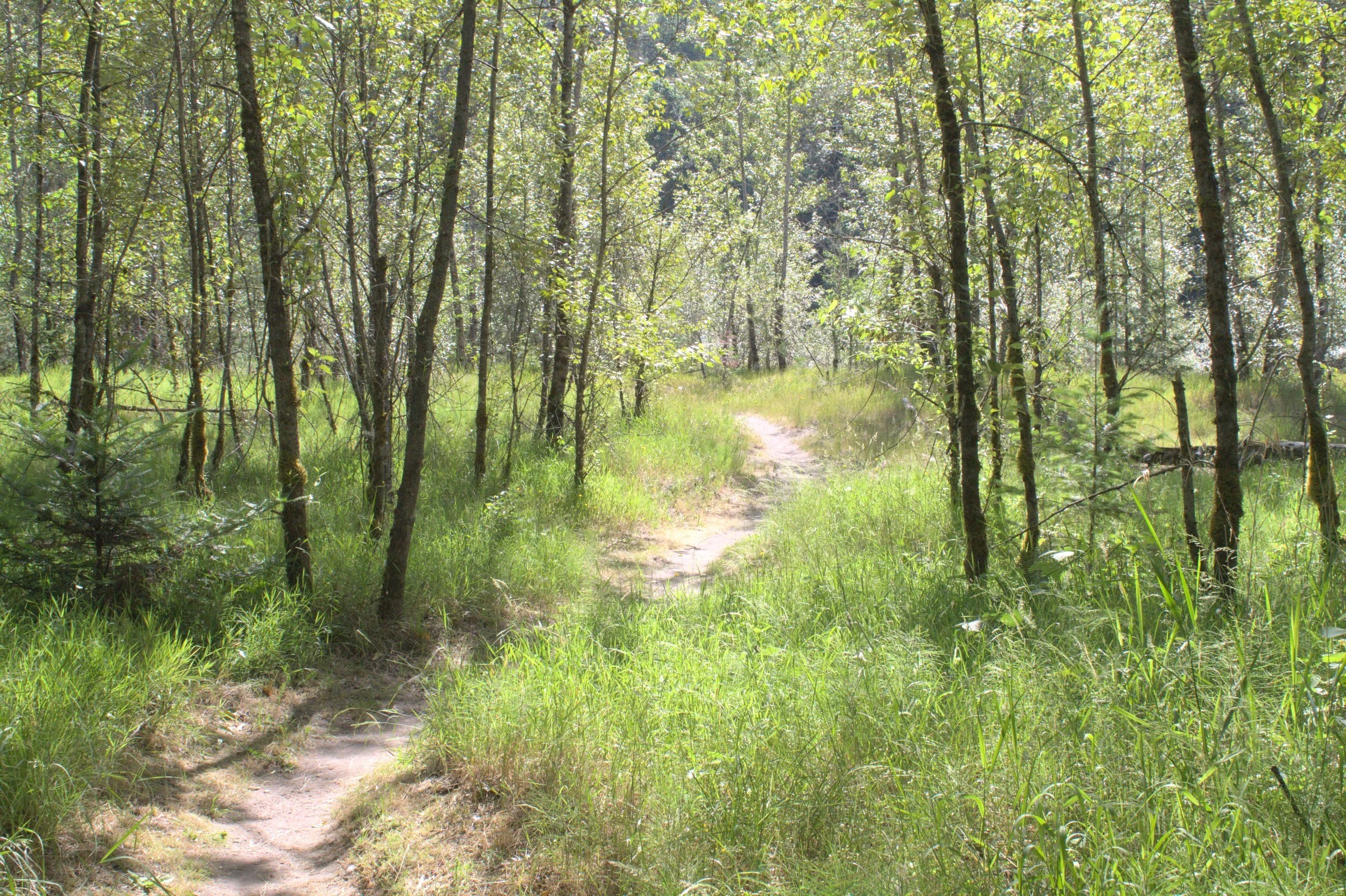 7 Fun Things to Do at Oxbow Regional Park — Pines and Vines