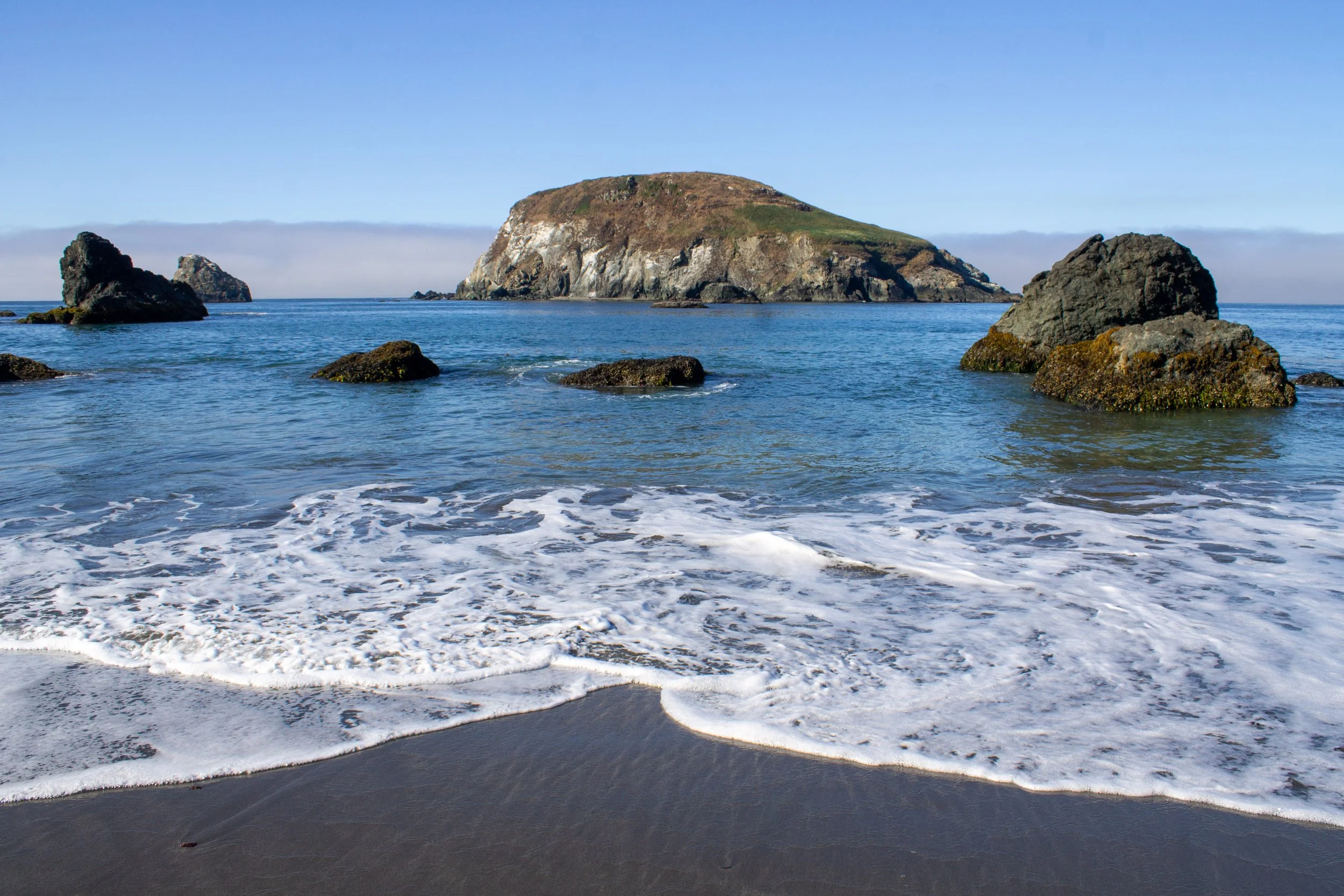 Quick Guide to Harris Beach State Park — Pines and Vines