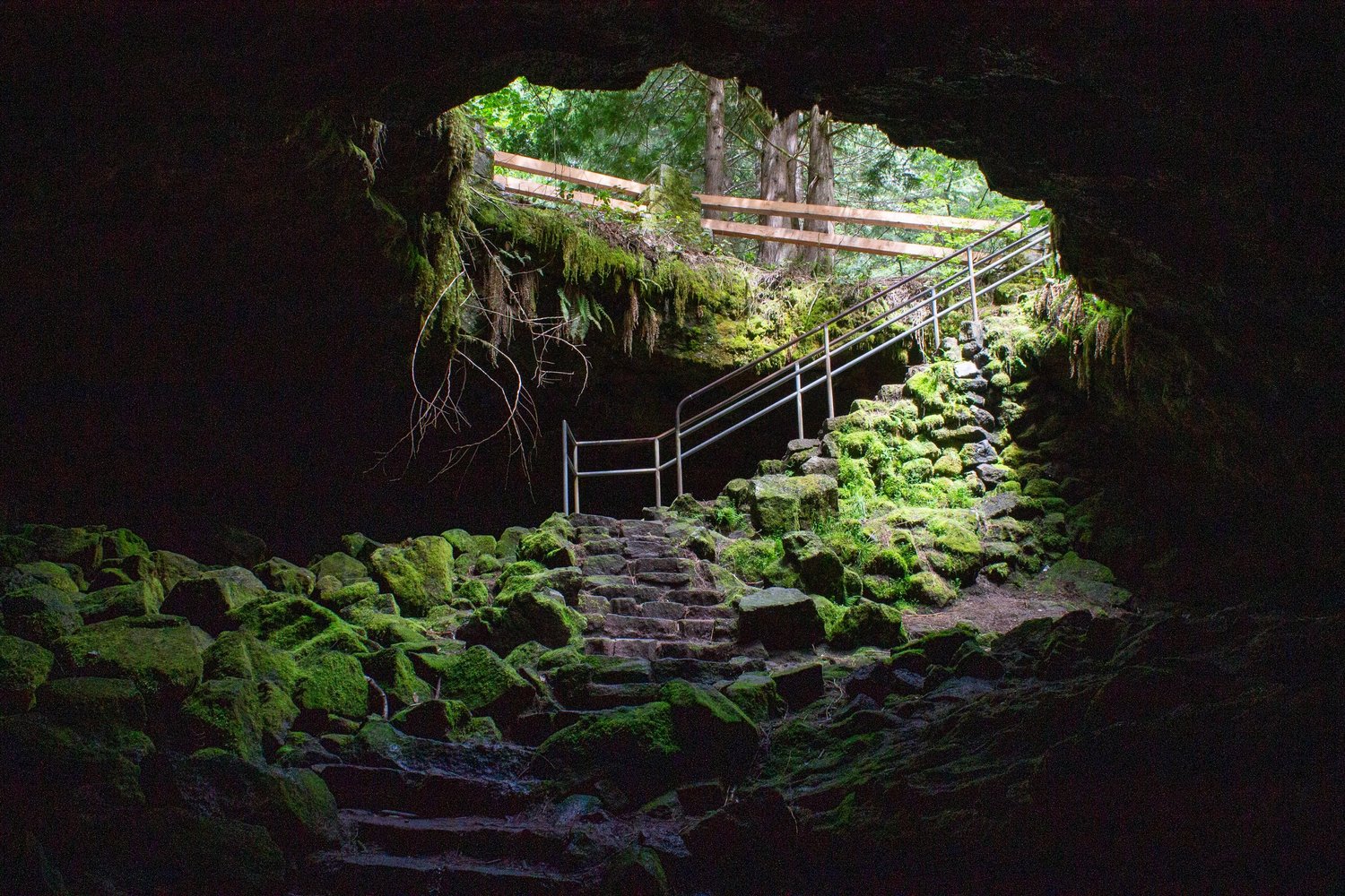 How to See the Ape Cave — Pines and Vines
