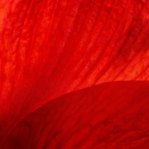 The Spiritual Meaning of Colors: Unlock Hidden Symbolism and Chakra ...