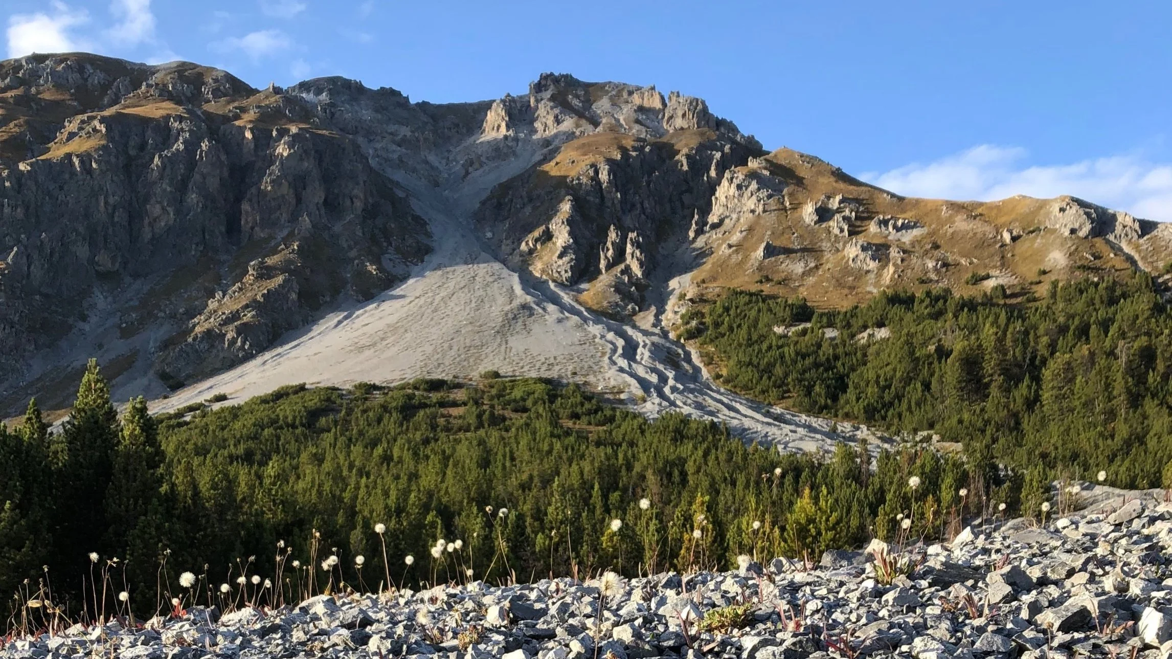 Tschierv: Wandering through the Swiss National Park — Natural Swiss ...