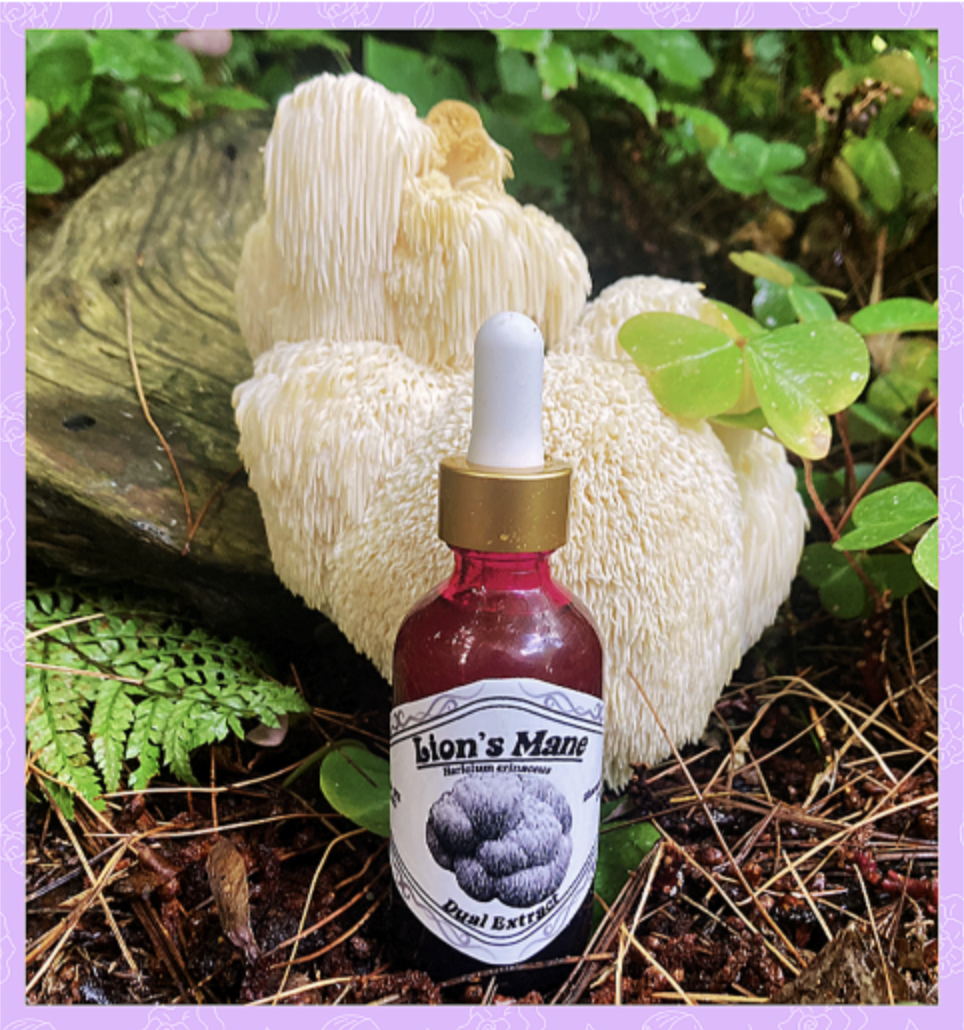 Buy fresh mushrooms online — MarrowStone Mushrooms