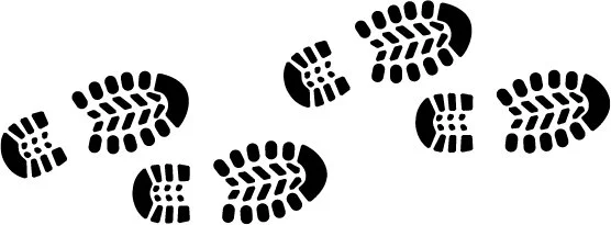 Stella Niagara Preserve Guided Hike — Insiders-Outside.com Secret ...