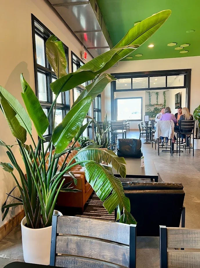 Tall Trellis Brew Co. | Olathe, KS — Beer Trip