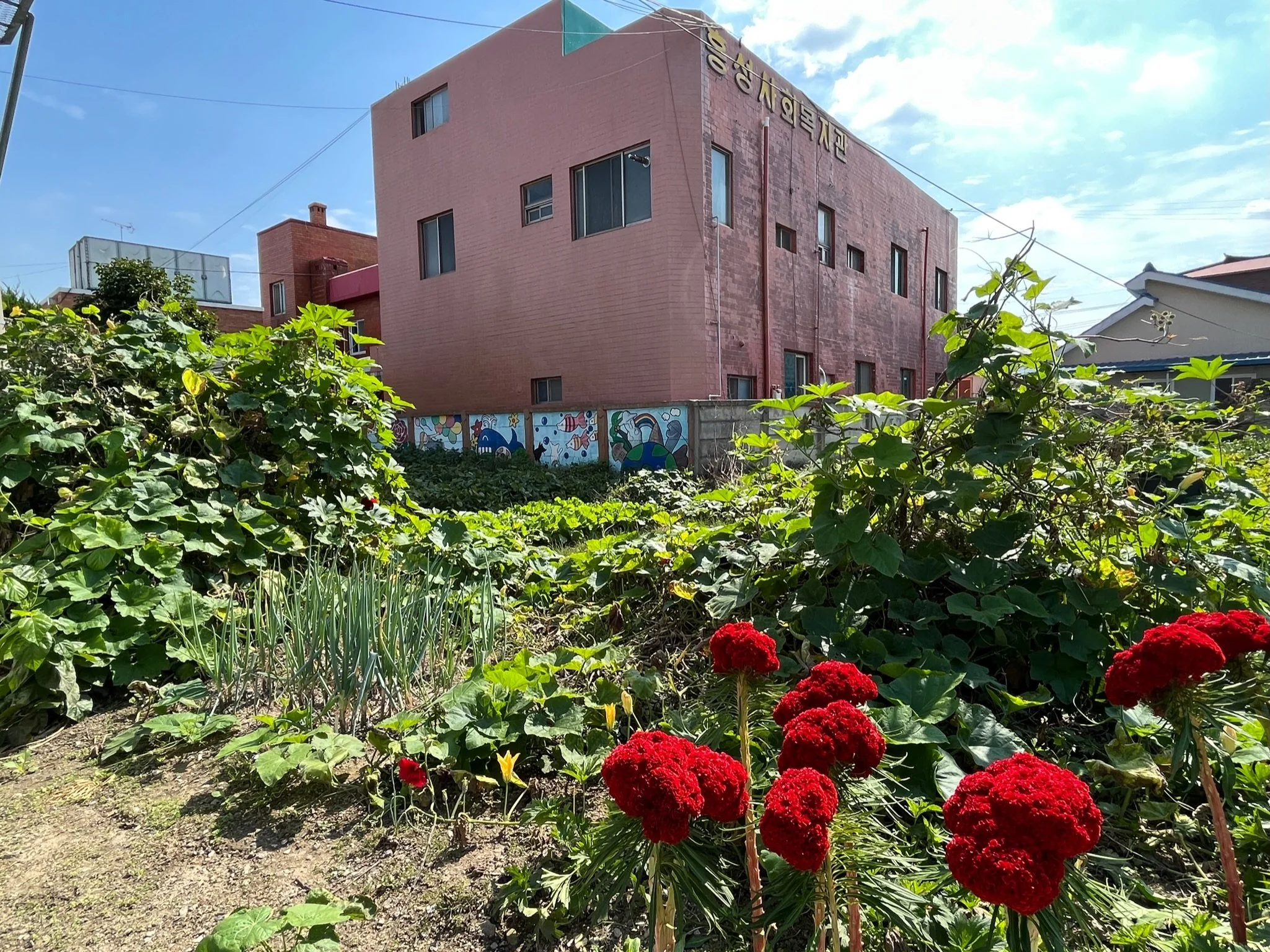 Sources of KSS Orphans + Orphanage List — Paperslip