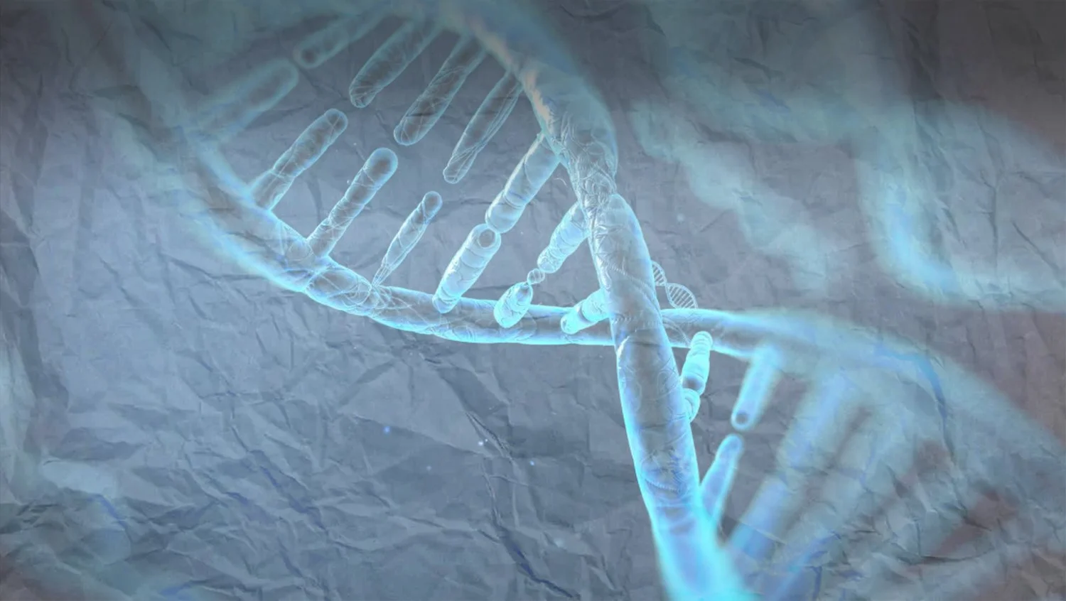 DNA Testing — Paperslip