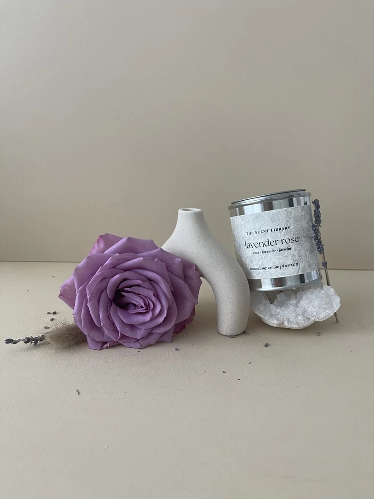 All Scents — THE SCENT LIBRARY