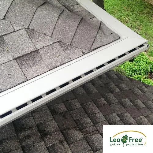 Seamless Gutter Solutions: Expert Installation and Protection Over Your ...