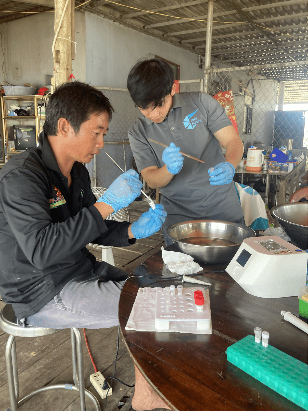 Shrimp Disease Detection | Simple, Fast, Accurate | Forte Biotech ...