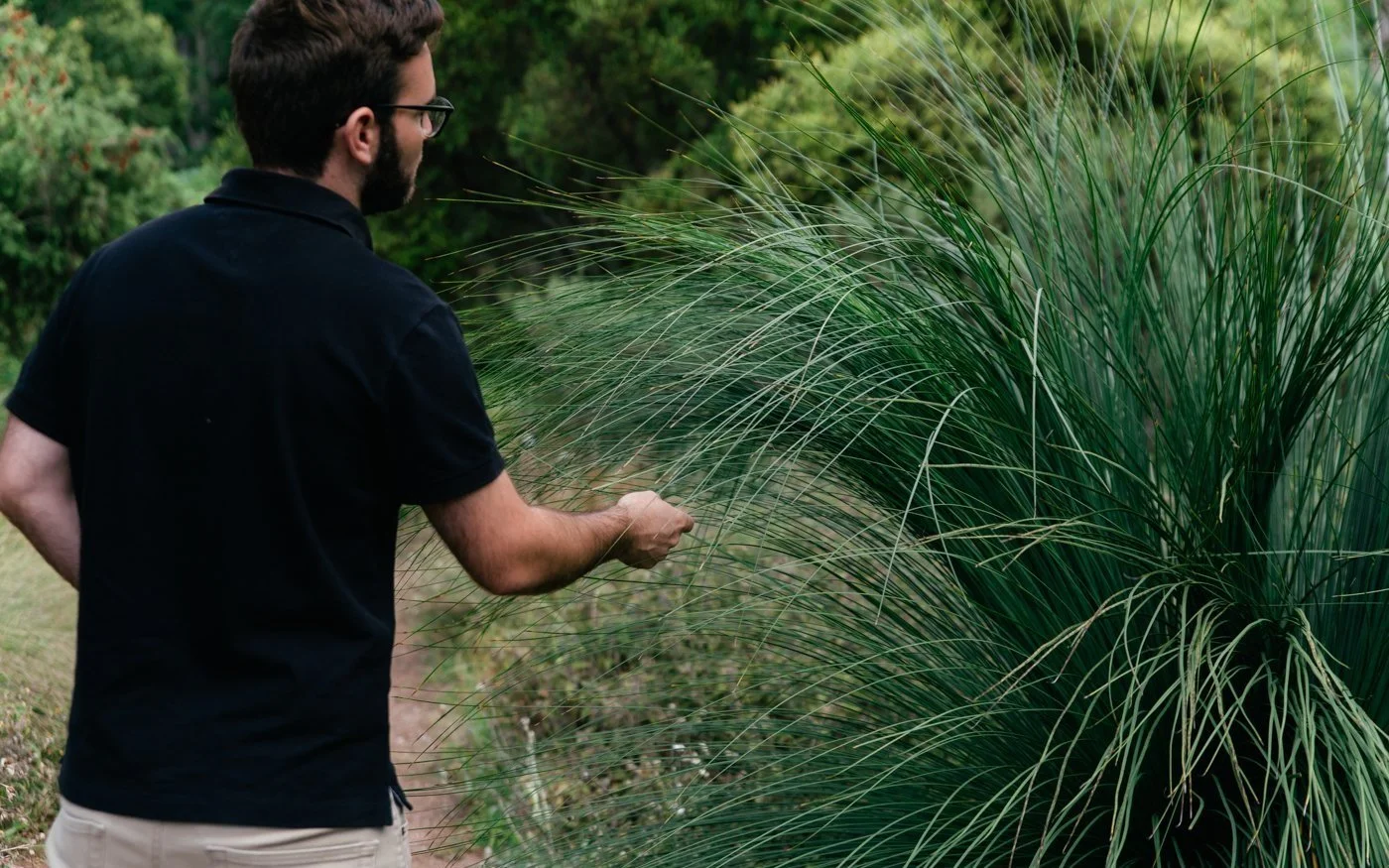 process + services — etch landscape design