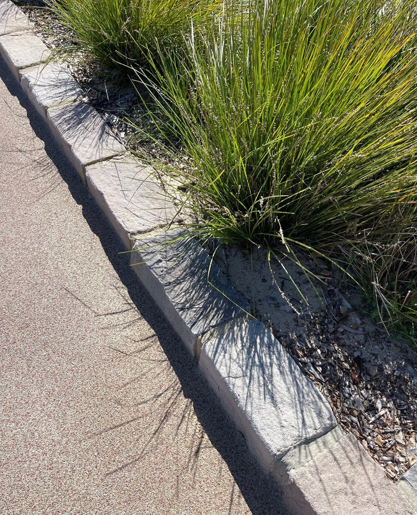 etch landscape design