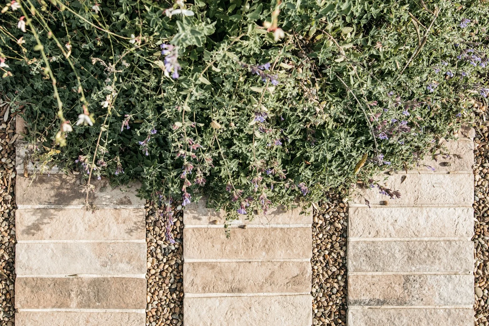 Mediterranean Living — etch landscape design