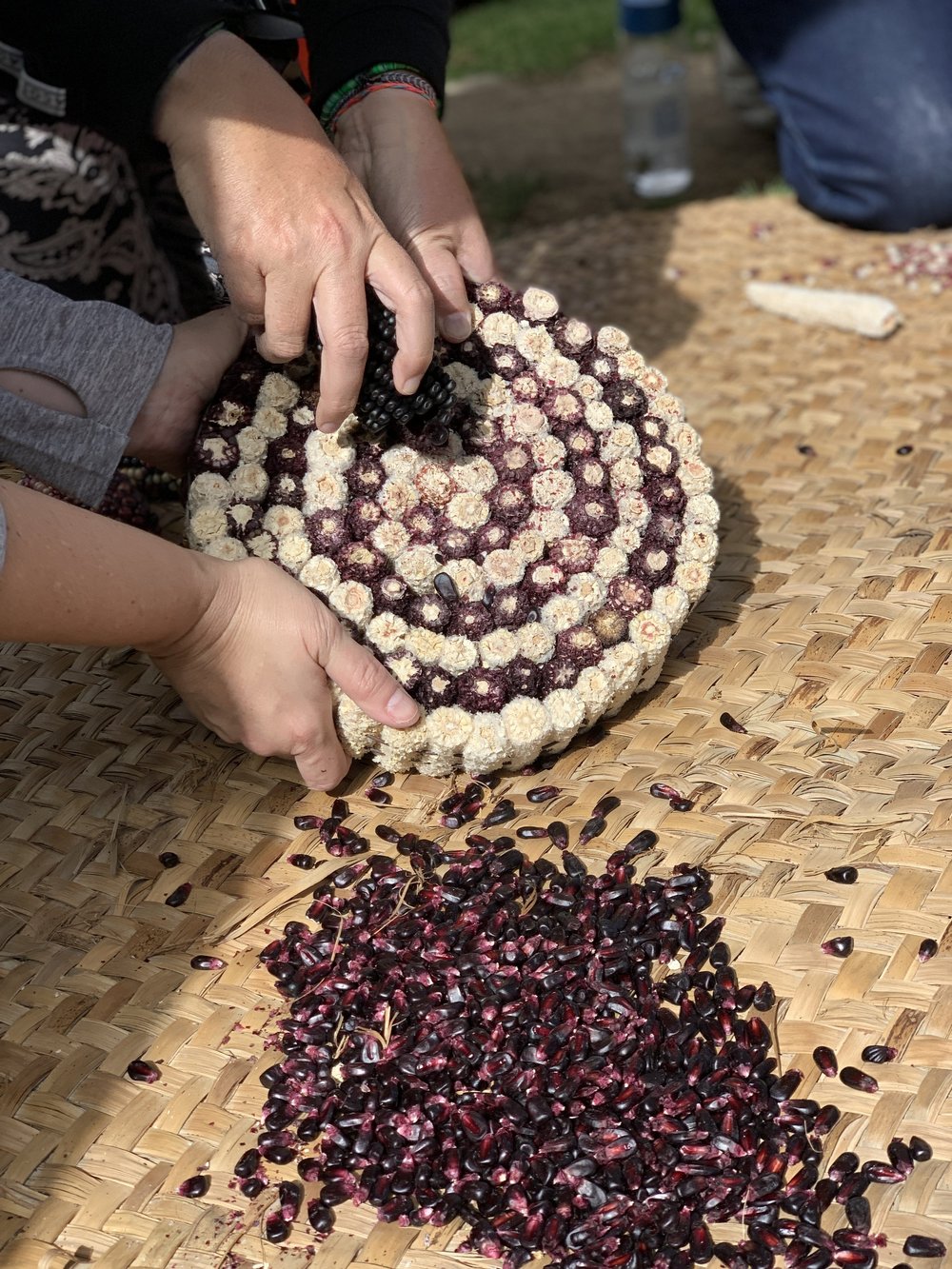 Olote, desgranando el maíz — Talleres Nómadas