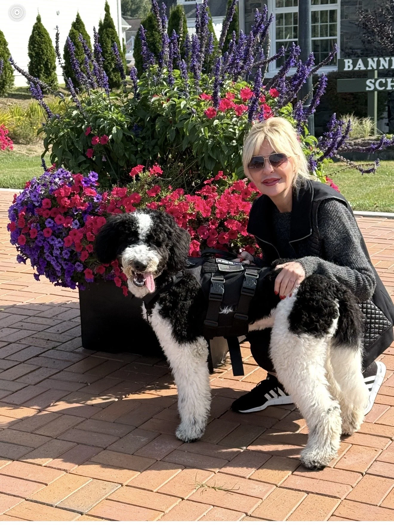 Michea Papp | Front Office Team | Aesthetics 441 — Aesthetics 441 and ...