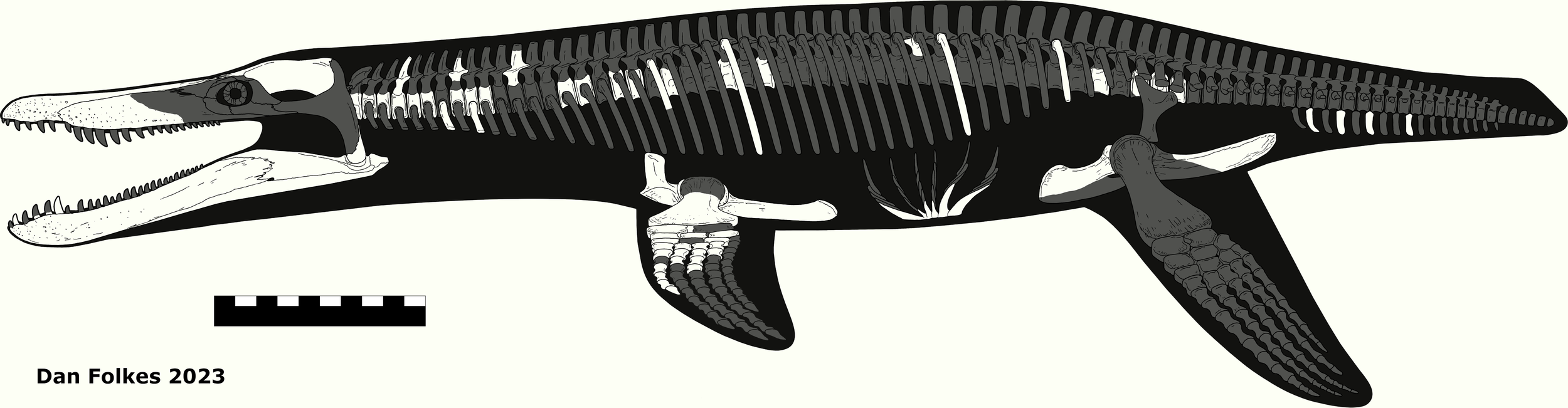 A (brief) description of Pliosaurus carpenteri, and comments on ...