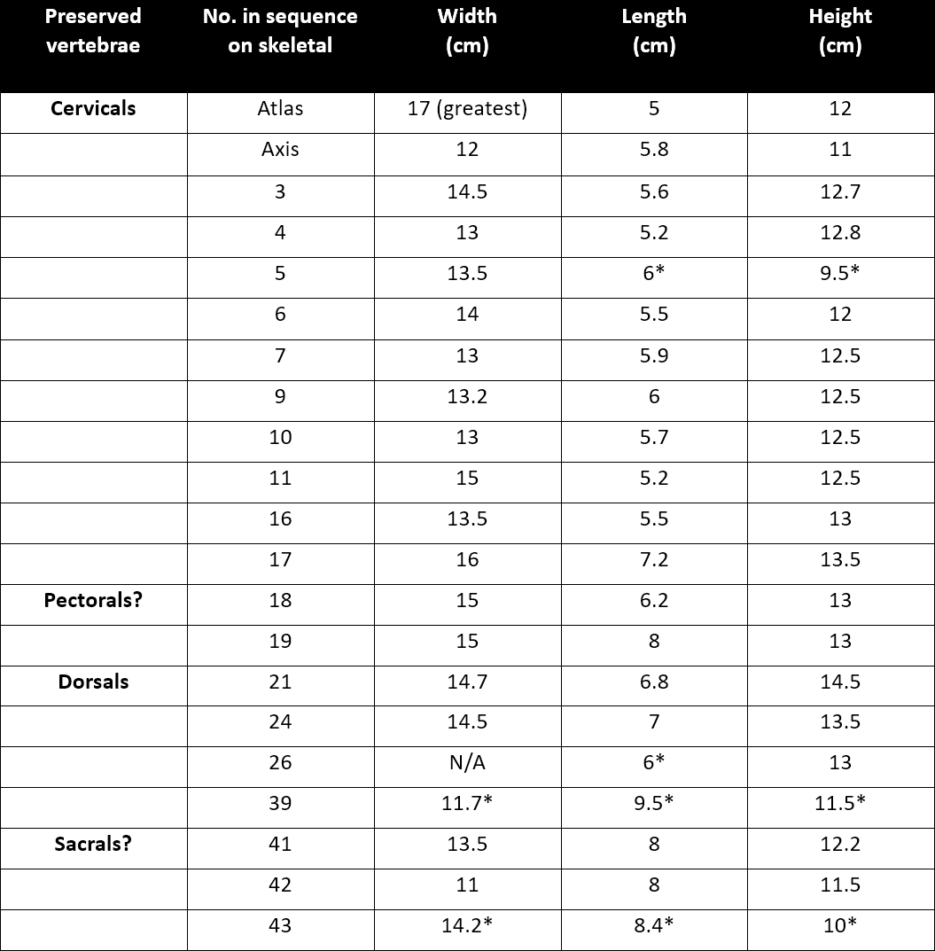 A (brief) description of Pliosaurus carpenteri, and comments on ...