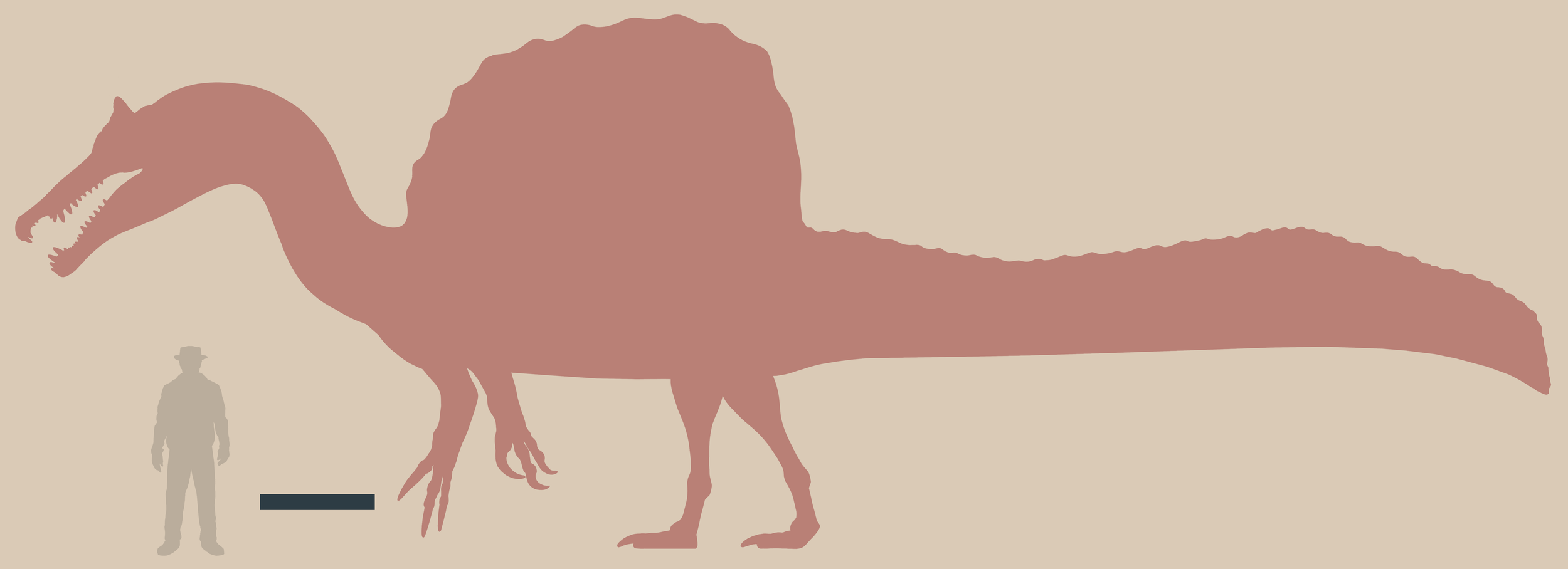 The LARGEST theropod dinosaur known to science… — THECODONTIA