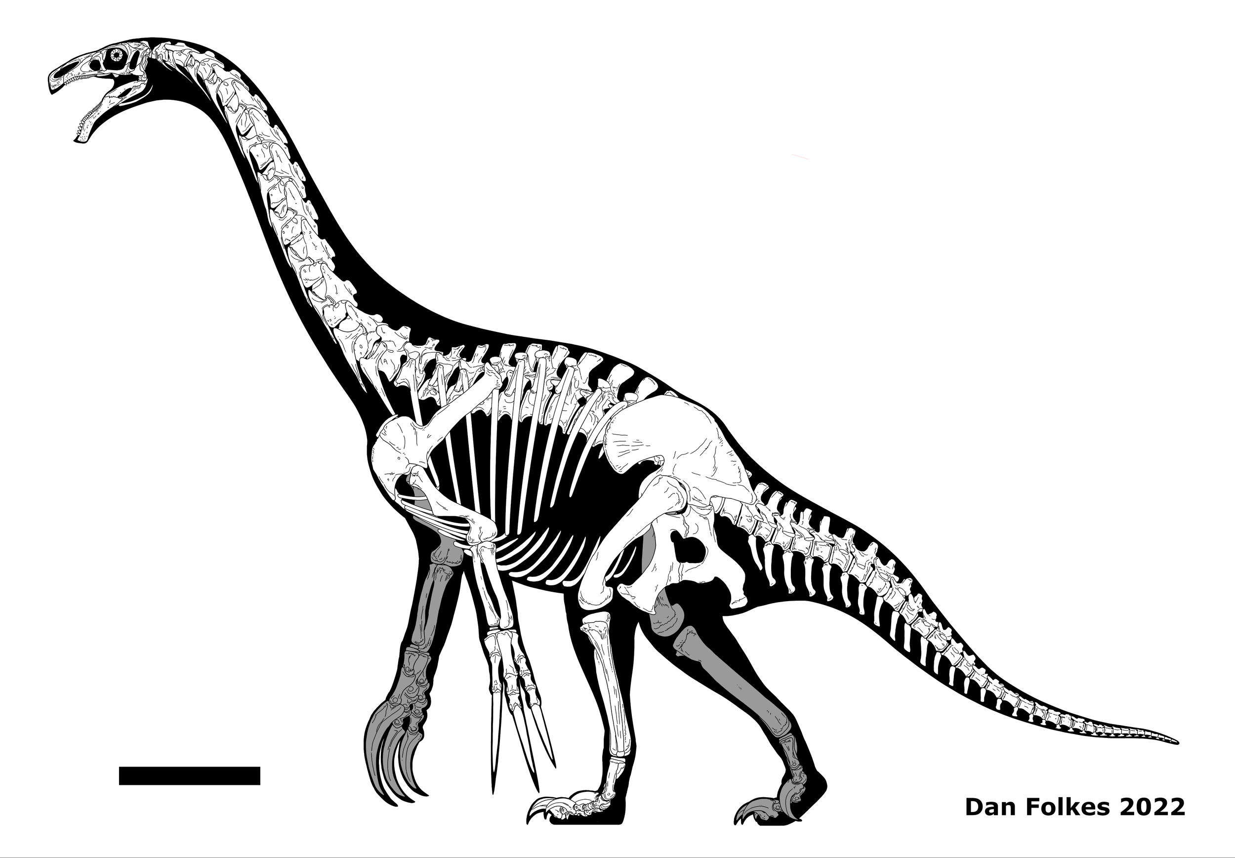 RECONSTRUCTING THE GIANT SLOTH DINOSAUR, THERIZINOSAURUS — THECODONTIA