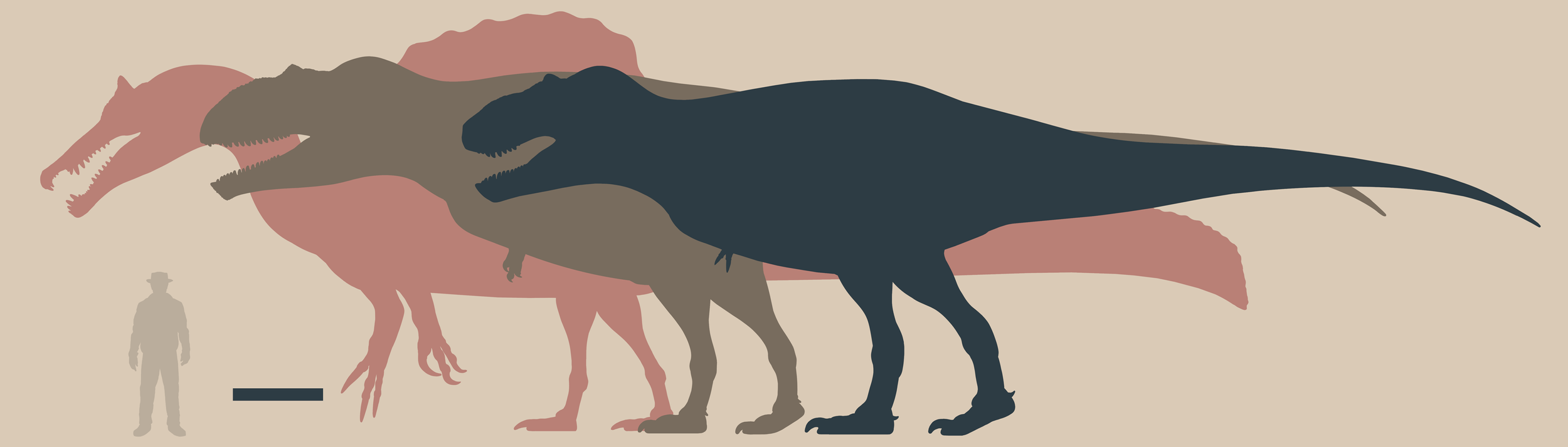 The LARGEST theropod dinosaur known to science… — THECODONTIA
