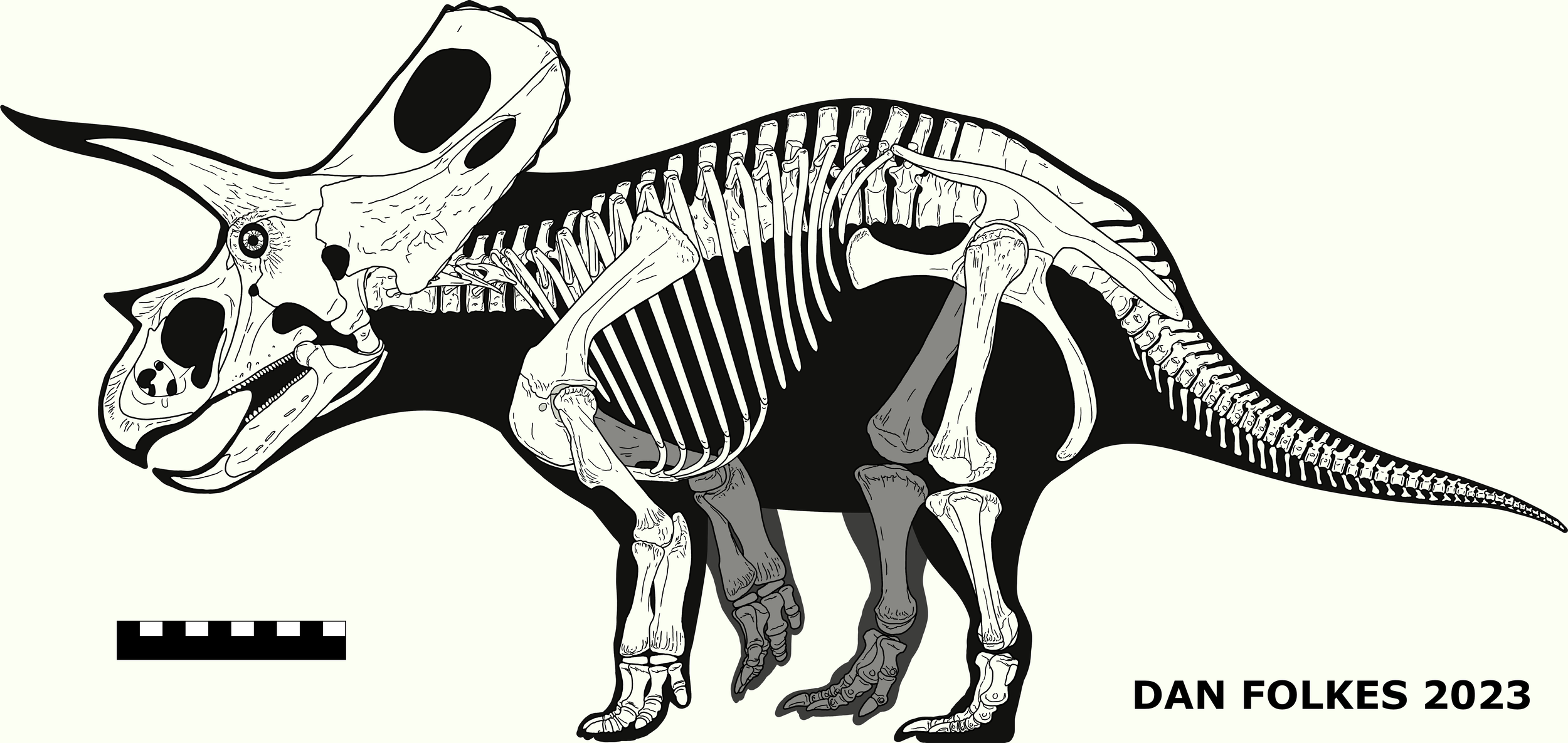 Torosaurus latus by TheDinoDrawer66 on DeviantArt