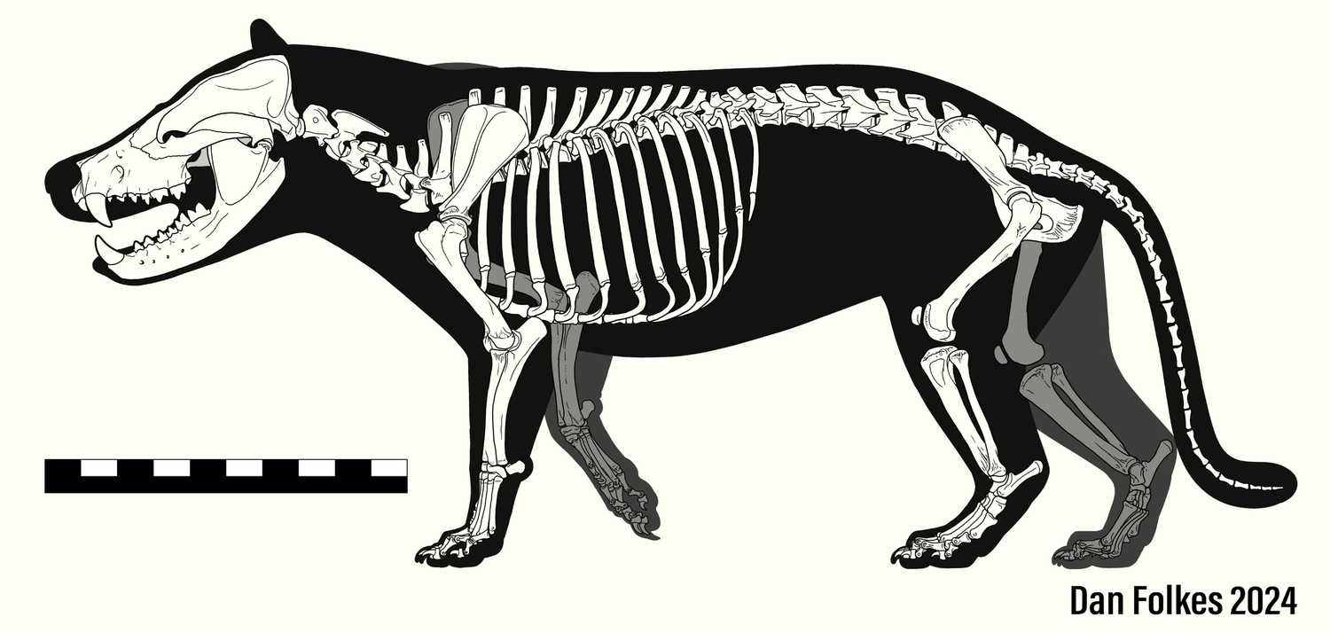 SYNAPSIDA — THECODONTIA
