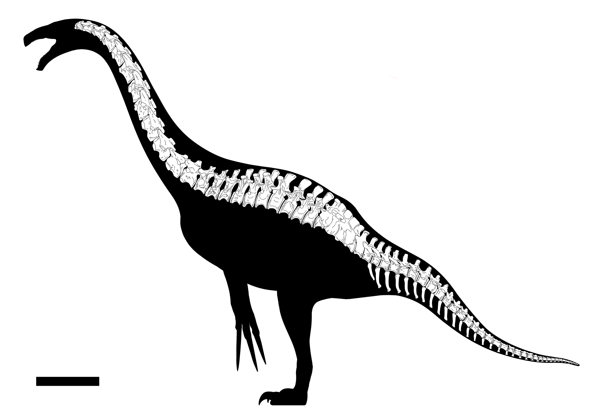 RECONSTRUCTING THE GIANT SLOTH DINOSAUR, THERIZINOSAURUS — THECODONTIA