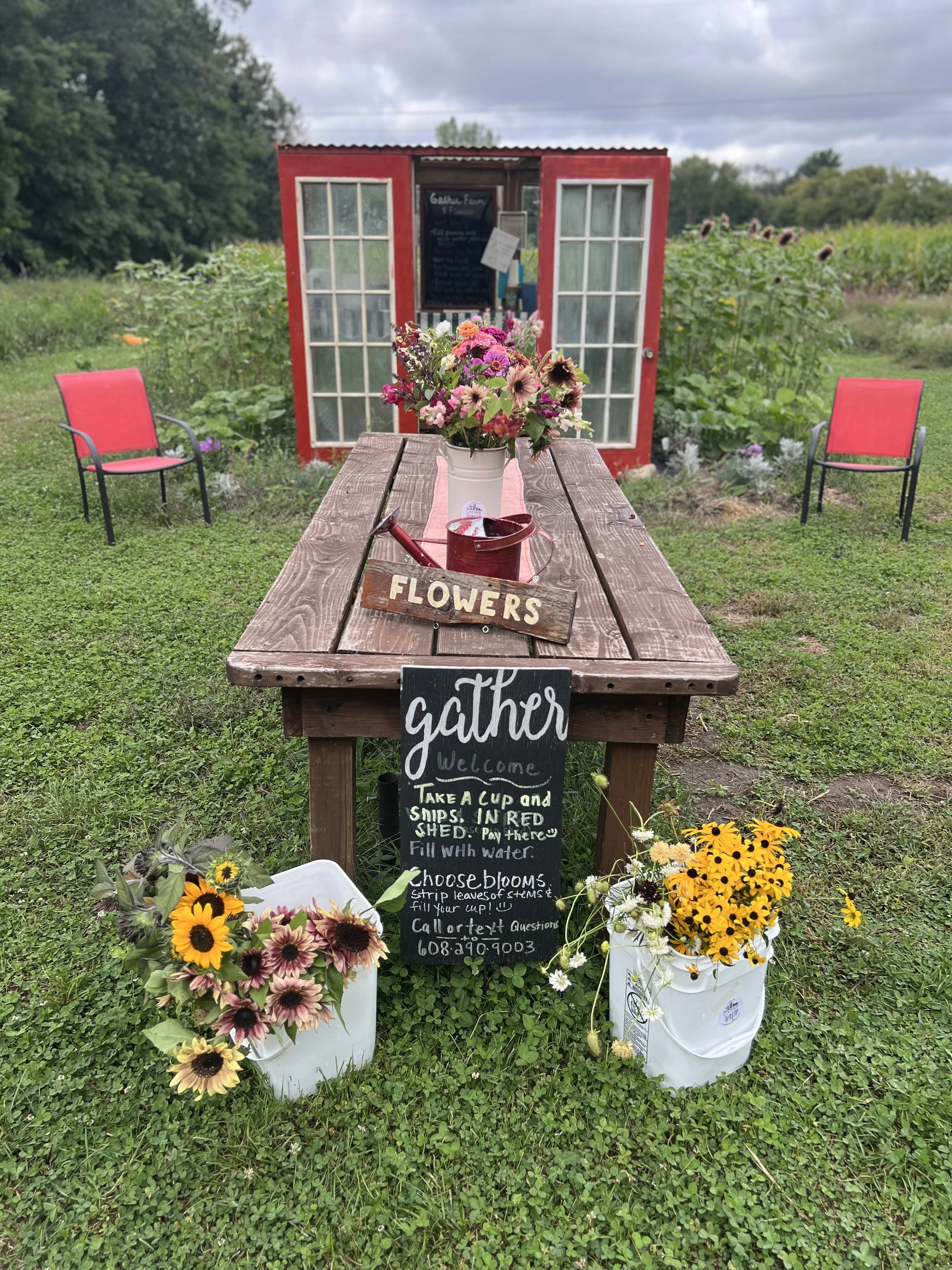 Gather Farm and Flowers Wisconsin Flower Farm & Wedding Floral