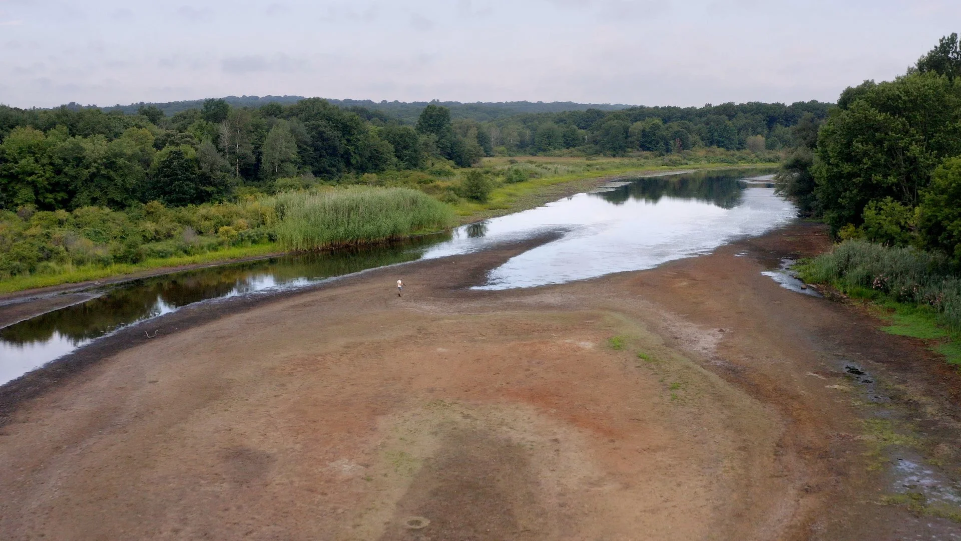 Films — TURNAROUND FILMS