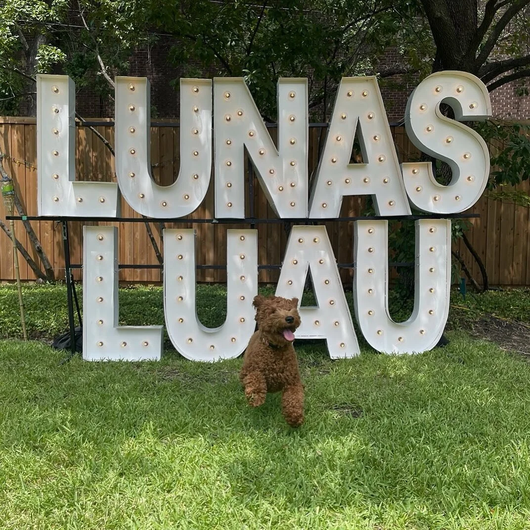 Houston — Alpha-Lit Marquee Letters