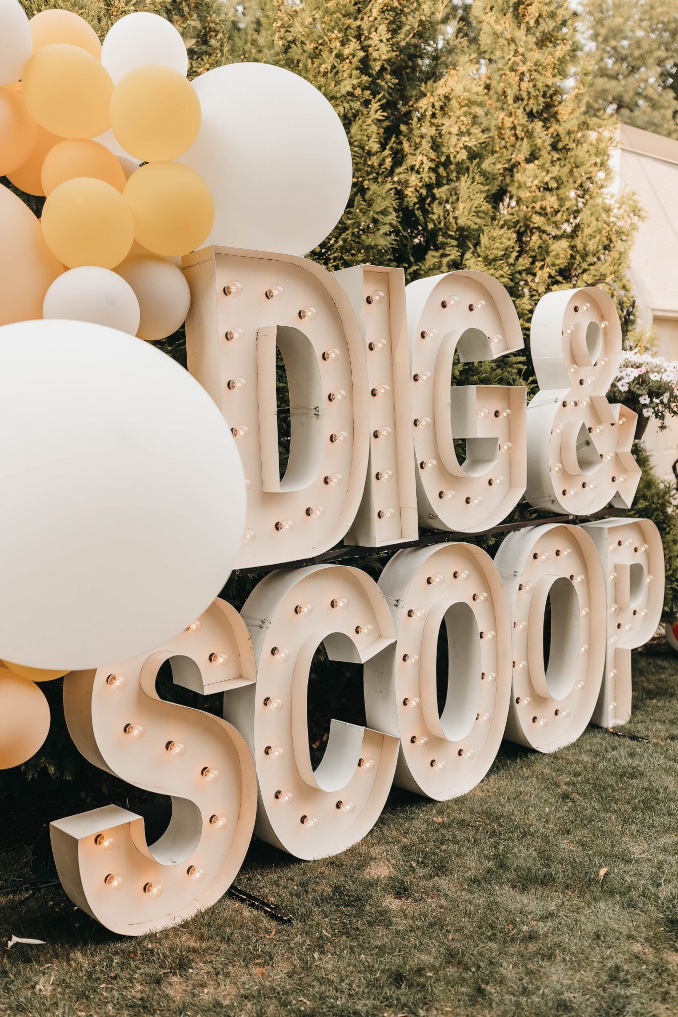 We're Hiring | Join Our Team - Apply Today — Alpha-Lit Marquee Letters