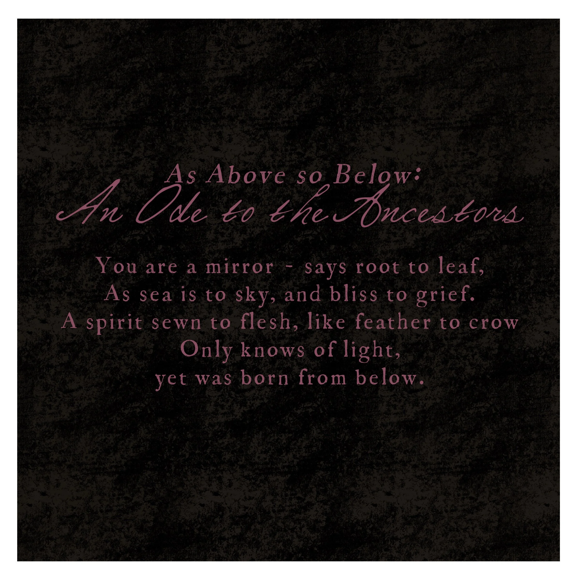 Shop — Little Witch Books