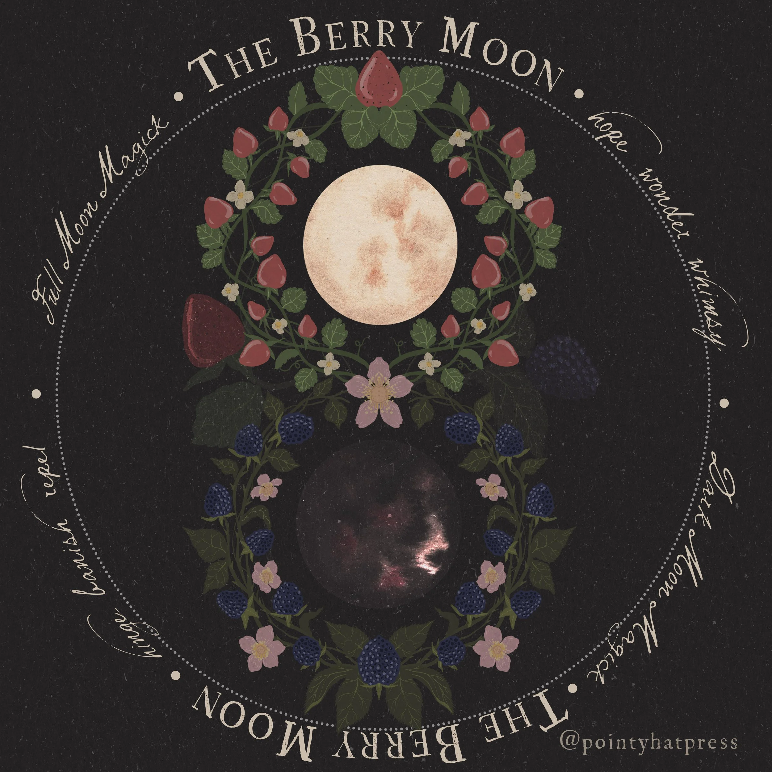 Moon & Vine by Pointy Hat Press — Little Witch Books