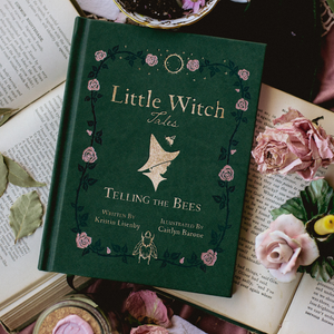 Shop — Little Witch Books