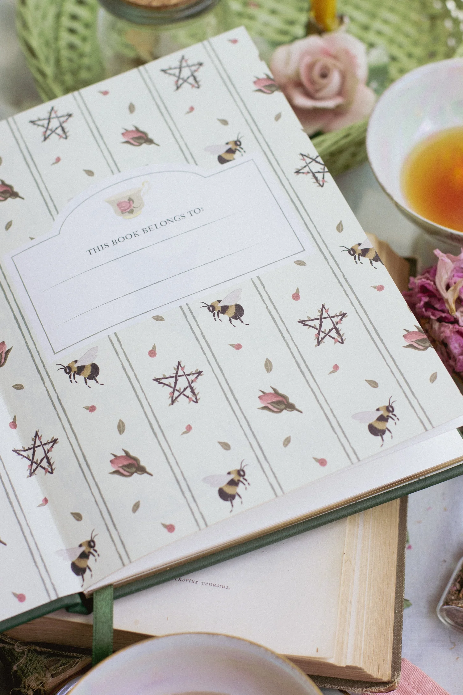 Telling the Bees: A Fairy Tale for the New Moon — Little Witch Books