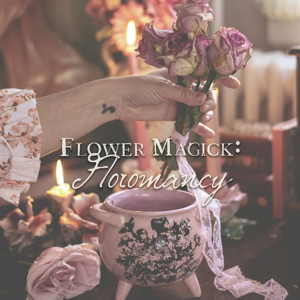 Floromancy for the Flower Moon: The Origin of the Rose — Little Witch Books