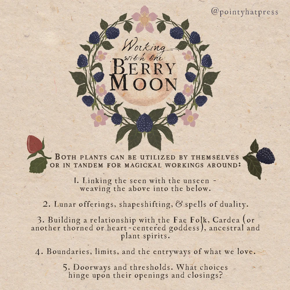 Berries are Fairy Fruit: June Moon Folklore — Little Witch Books