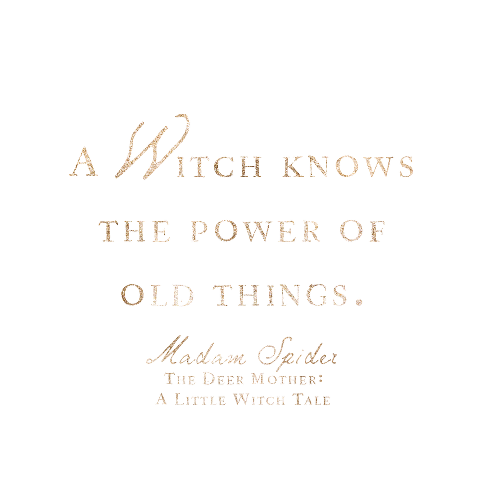 Blog 2 — Little Witch Books