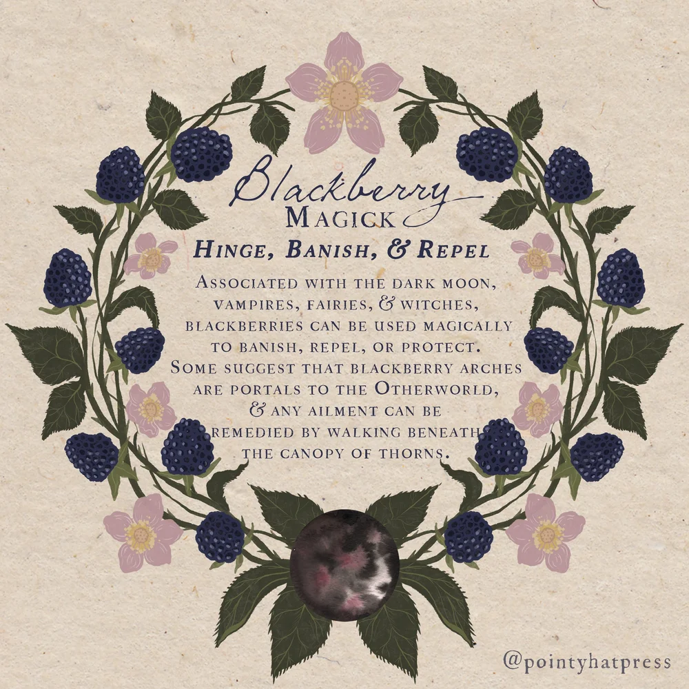 Berries are Fairy Fruit: June Moon Folklore — Little Witch Books