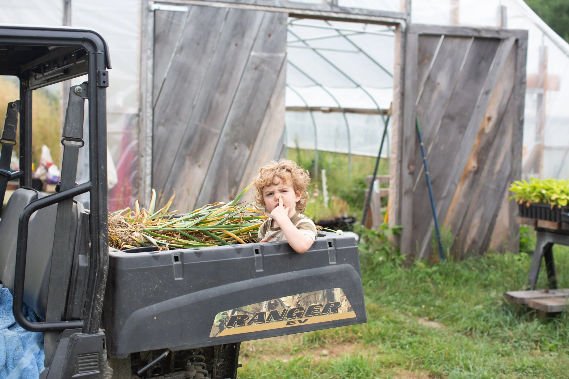 About — Stitchdown Farm