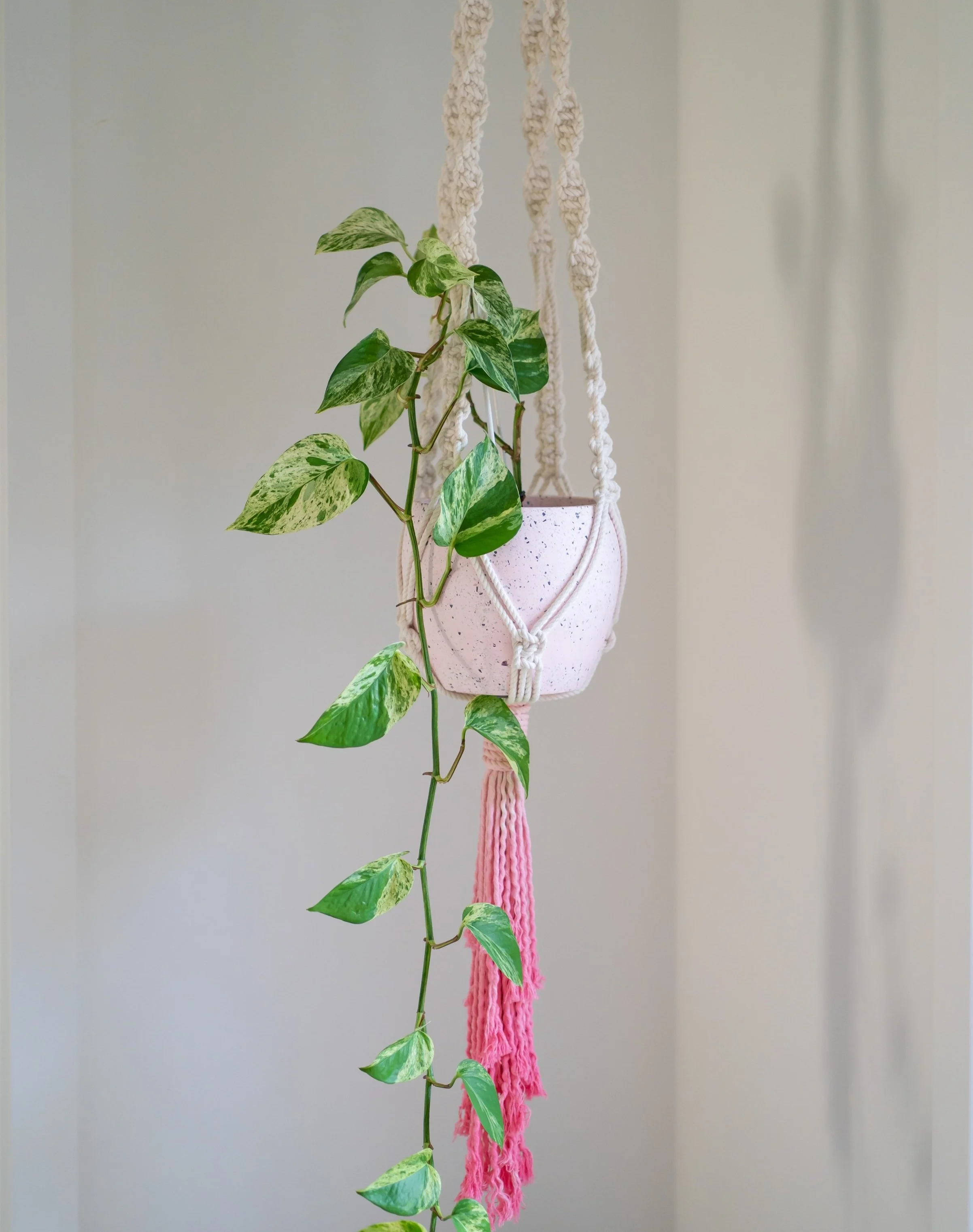 Sarah O'Keeffe Art & Macrame