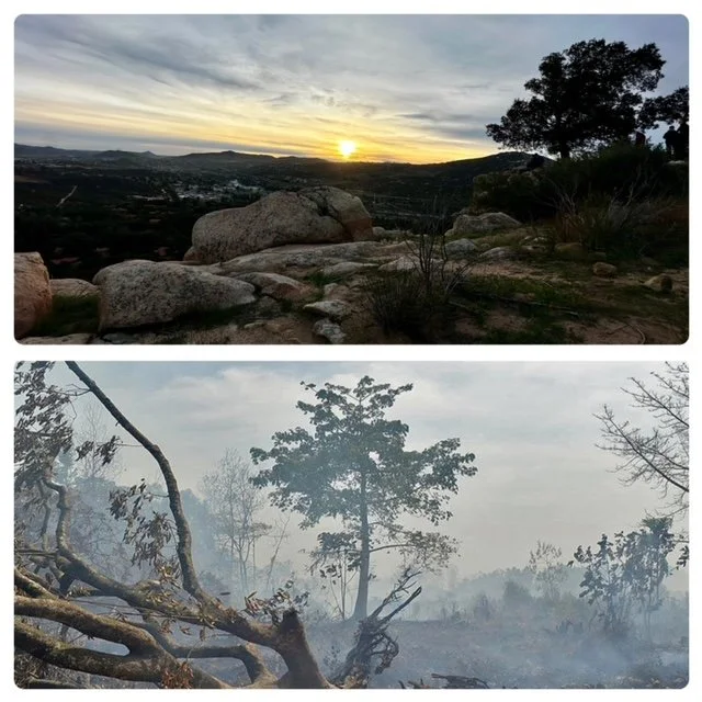 Taking in the Grace of the World — Bader and Simon