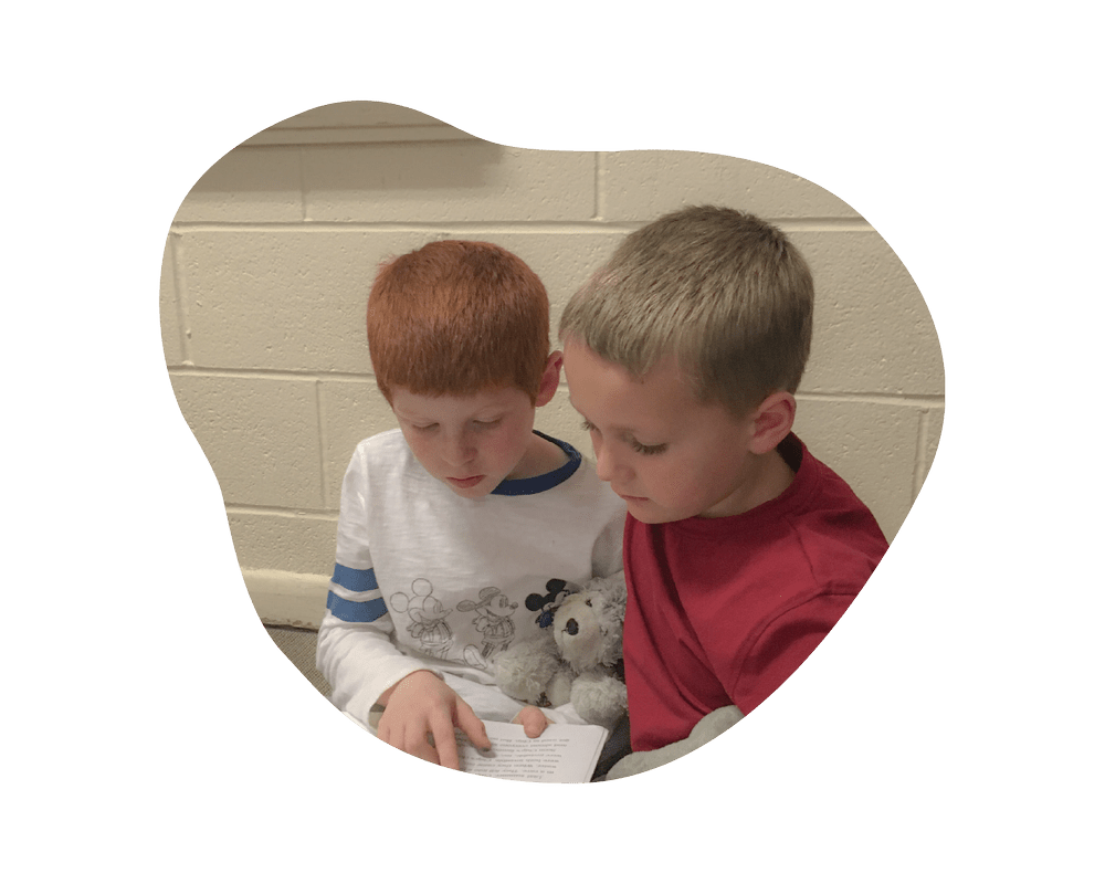 Admission — Quintilian School